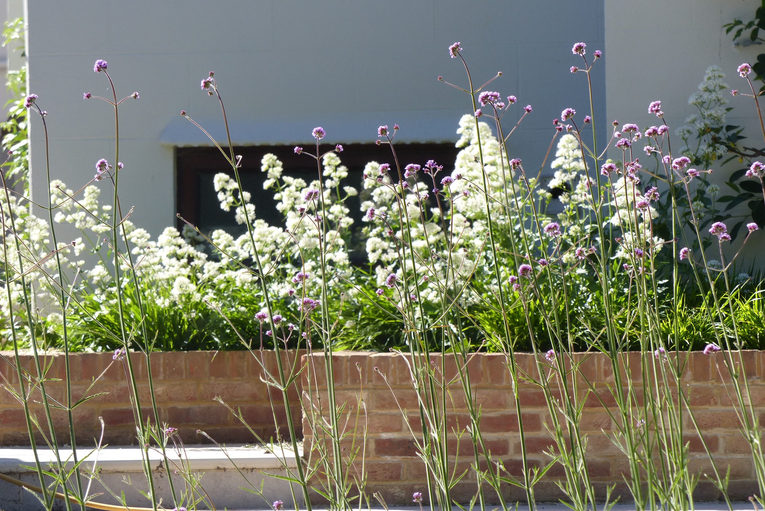 Local Garden Designer | New Leaf Design